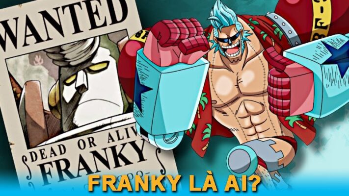 Franky là ai? Sinh ngày mấy? Top phim hoạt hình về Franky mới nhất - khomohinh.com - Kho Mô Hình